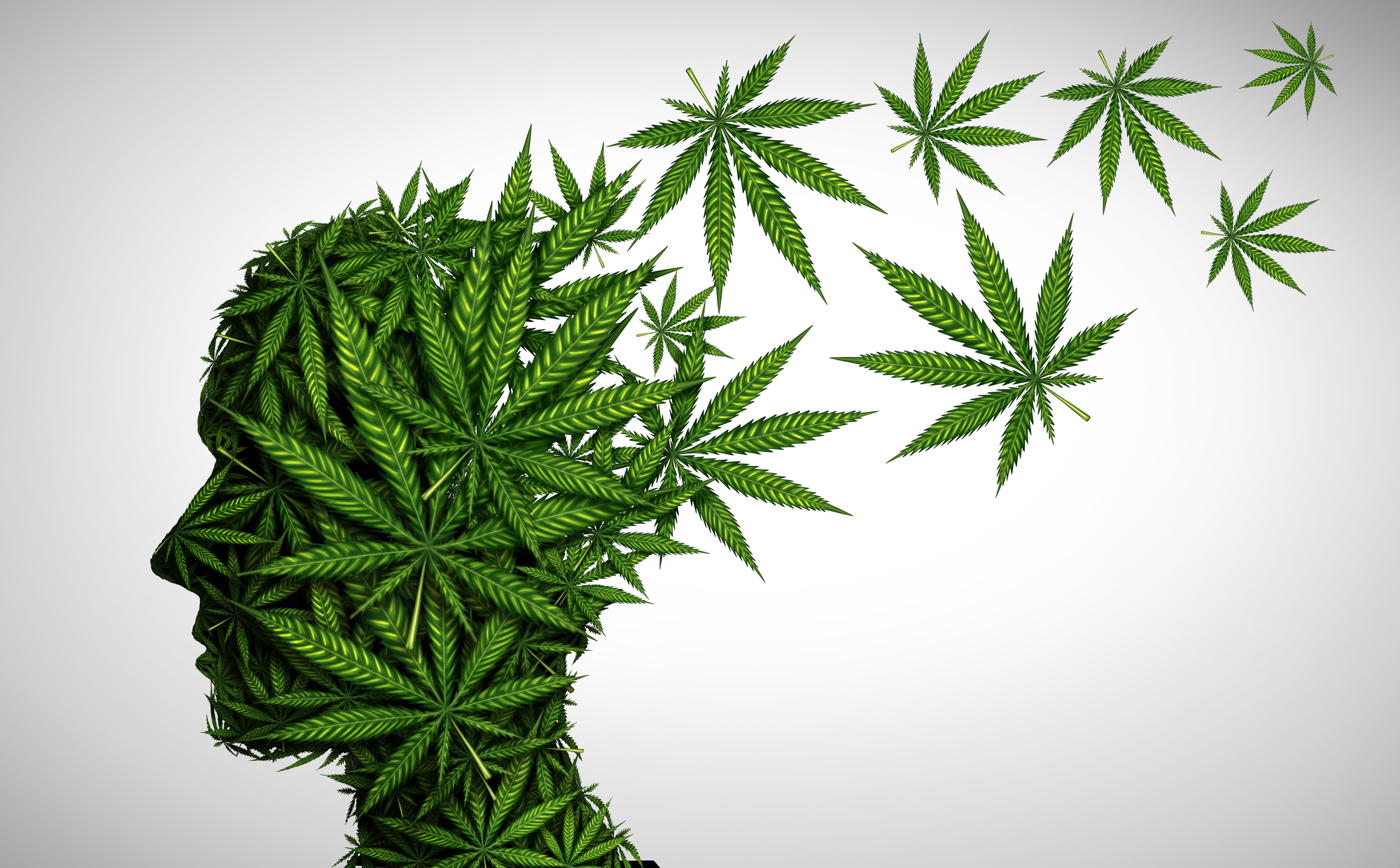 Significant Association Between Cannabis Use and Psychotic Disorders Significant Association Between Cannabis Use and Psychotic Disorders
